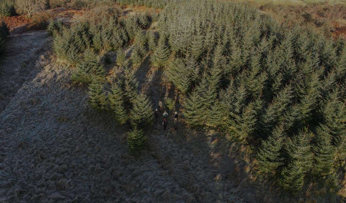 What is biodiversity net gain? A complete guide | CSX Carbon