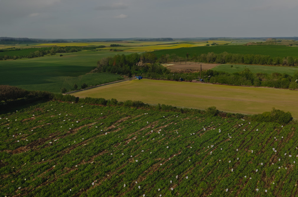 What are the carbon reporting requirements for farmers? | CSX Carbon