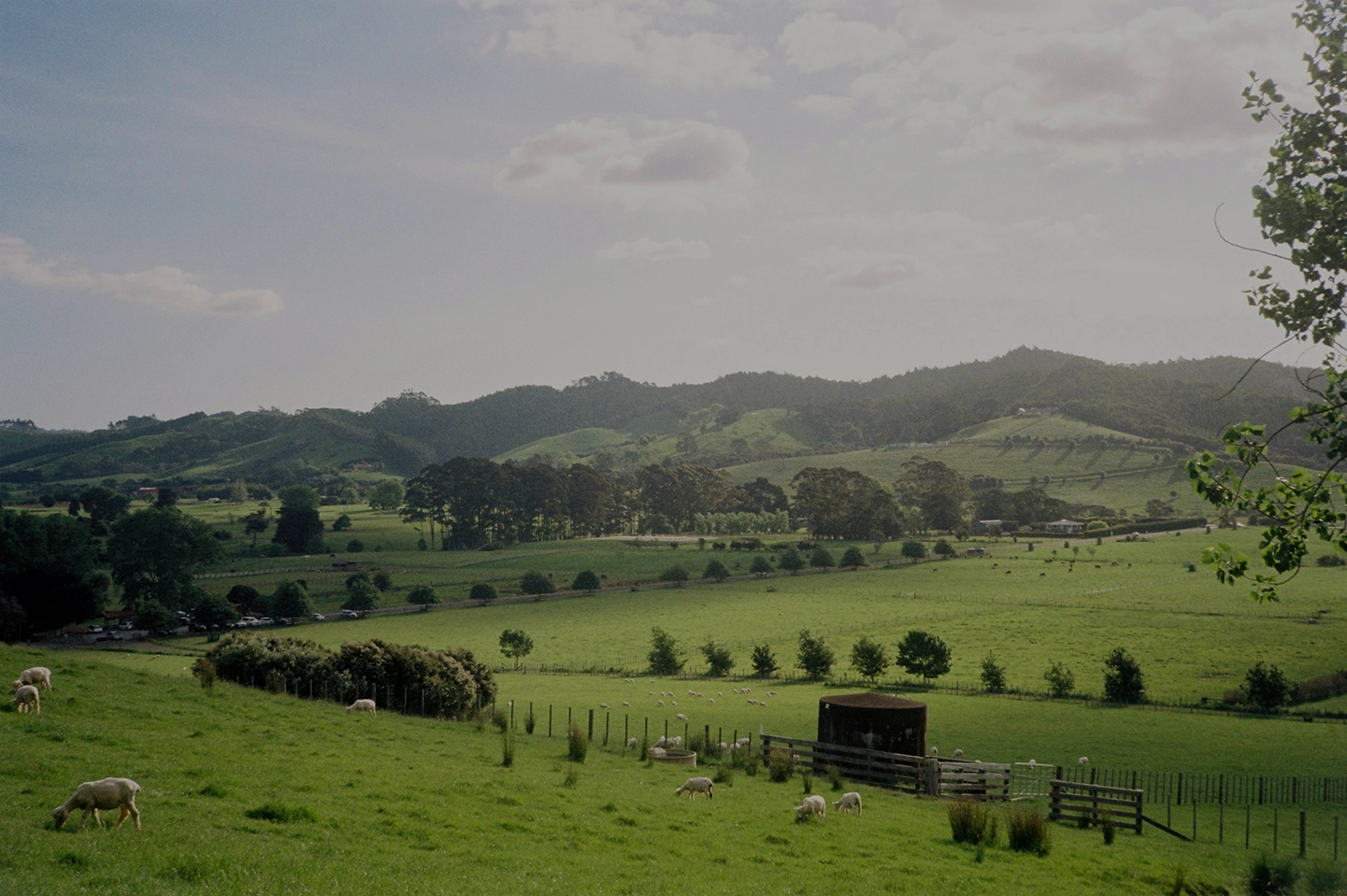 Why does transparency matter when reporting CSRD? | CSX Carbon